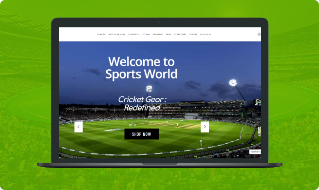 Biggie Cricket | EPlanet Soft